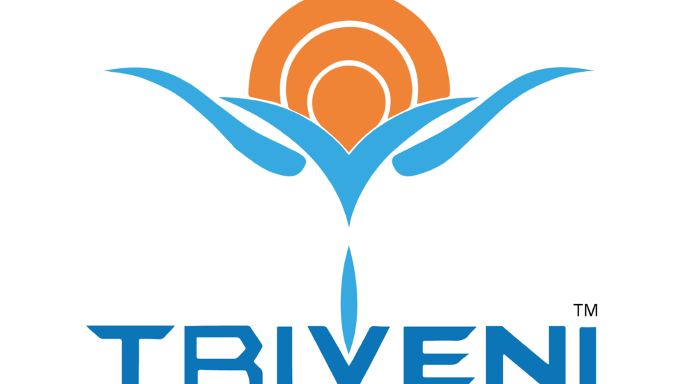 About - Triveni Global